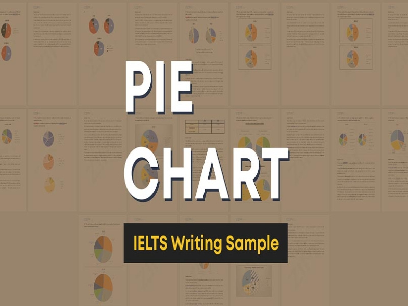 Tong Hop Bai Mau Ielts Writing Task Dang Pie Chart By Anh Ngu Zim On