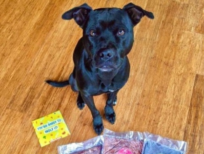 High-Quality Complete Diet Plan Dog Food Delivery | Wolfitbox by Wolfit ...