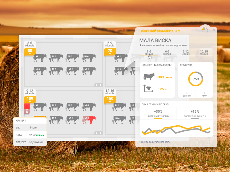 App for cow farm by Viktoriia Silkina on Dribbble