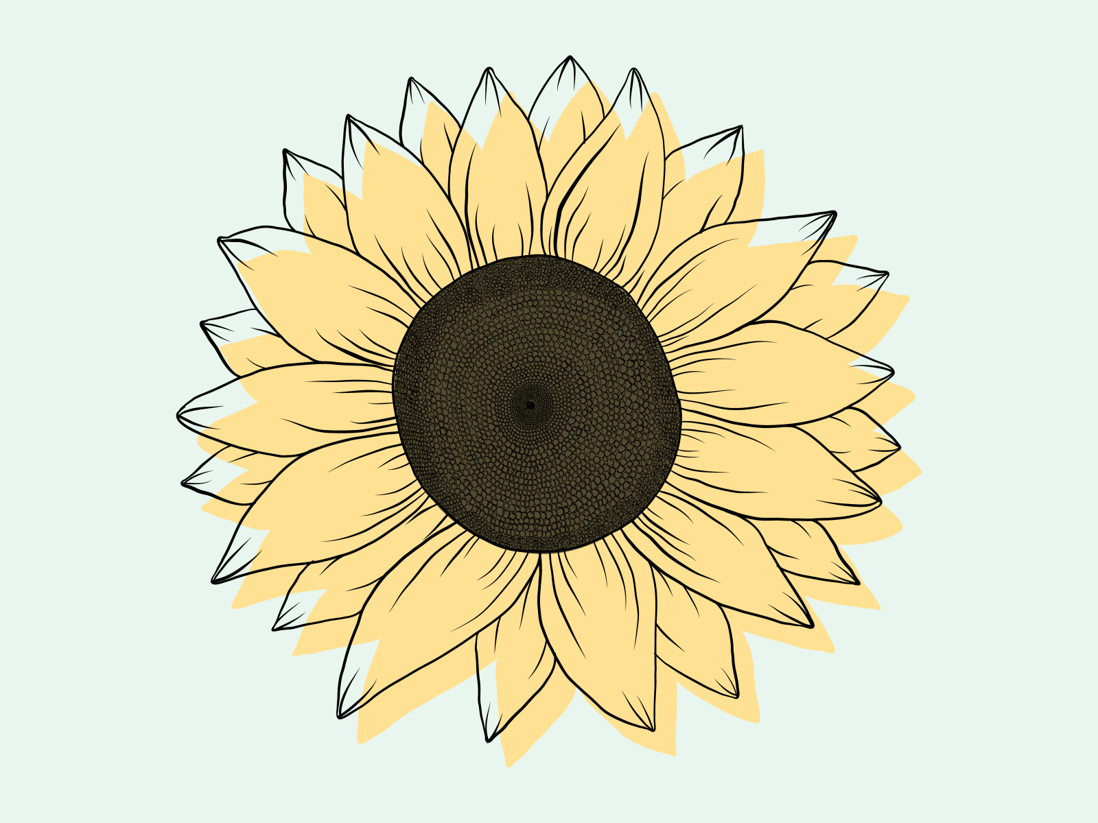 Sunflower Drawing Tumblr