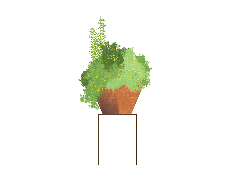Cartoon Plant Stand