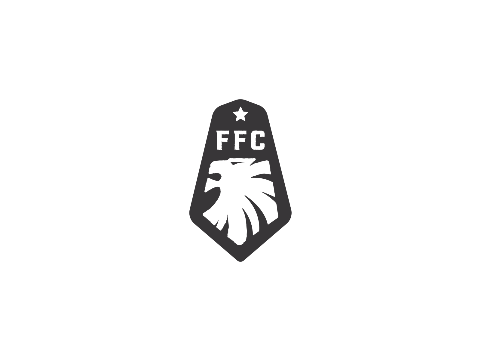 Fury Football Club by Christian Franklin on Dribbble
