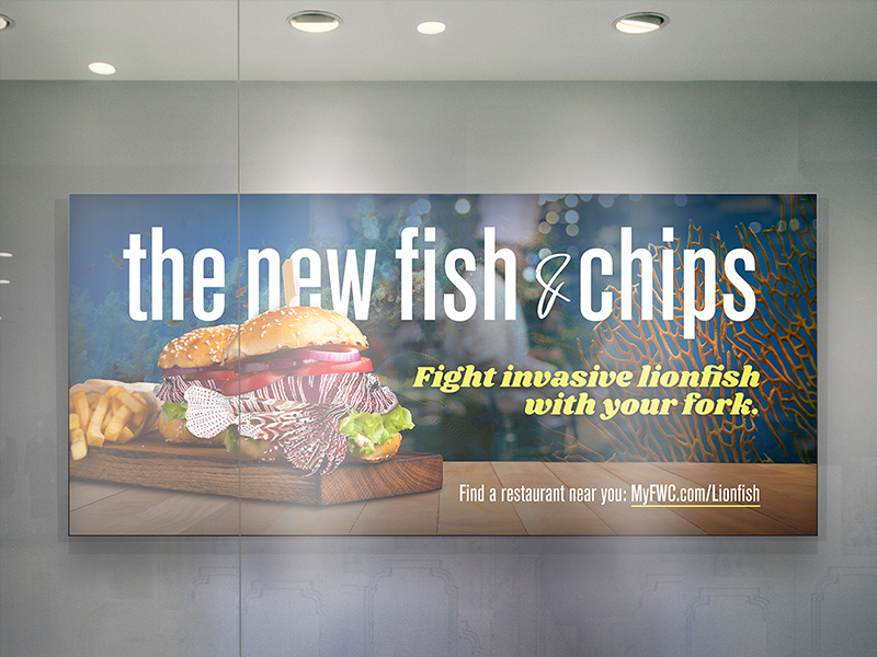 Lionfish Awareness Campaign by Amy Maxwell on Dribbble