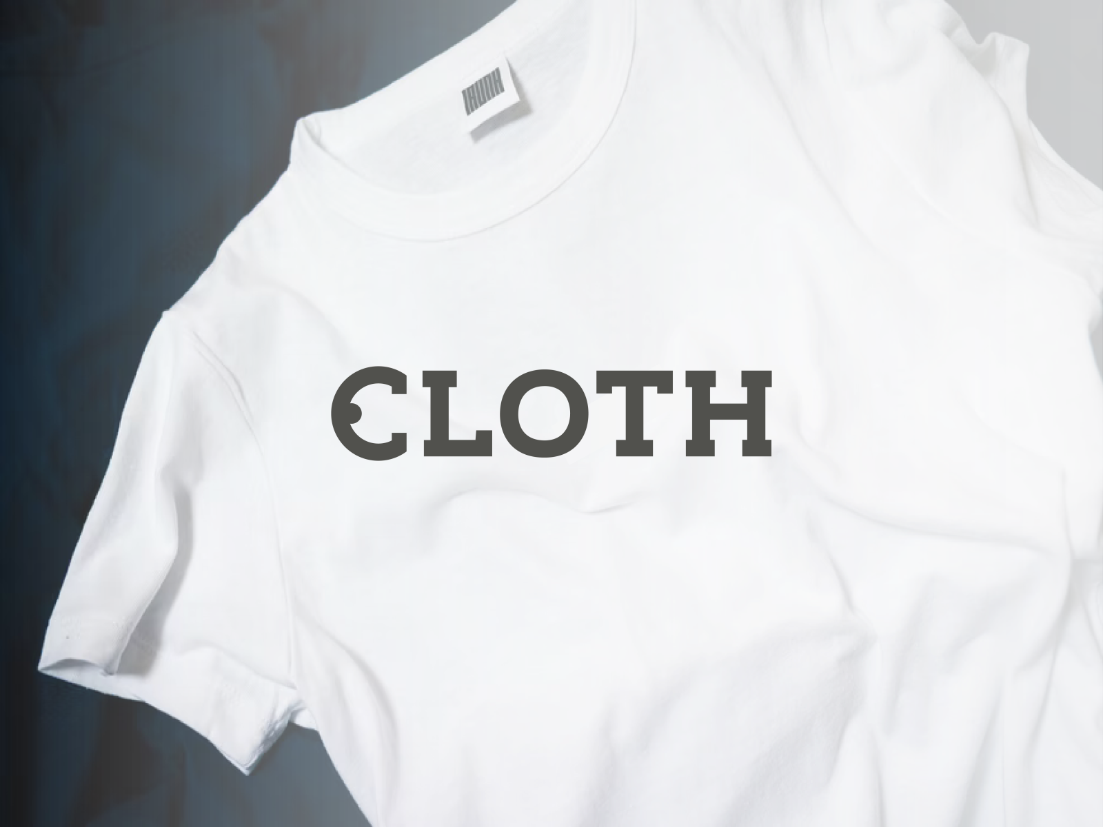 Cloth wordmark logo | cloth logo by Mirazur Rahman on Dribbble