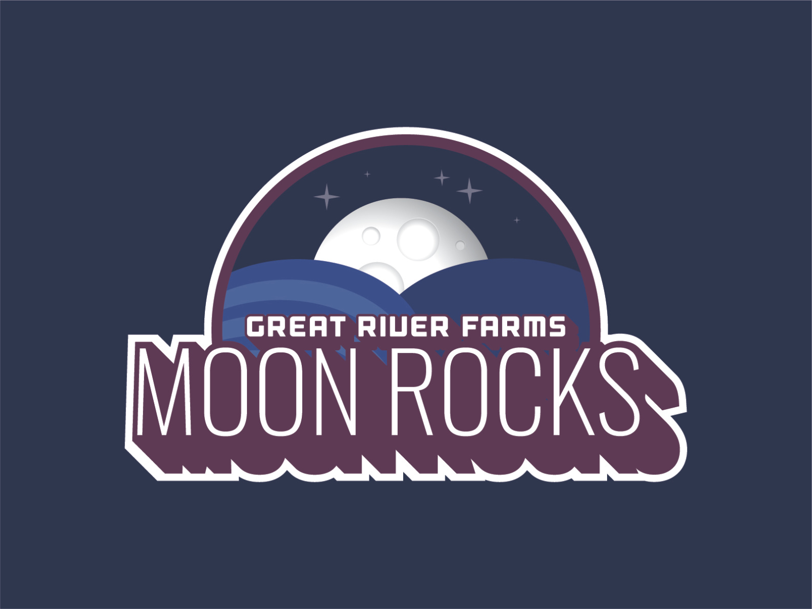 Moon Rocks Design by Brian Maier Jr. on Dribbble