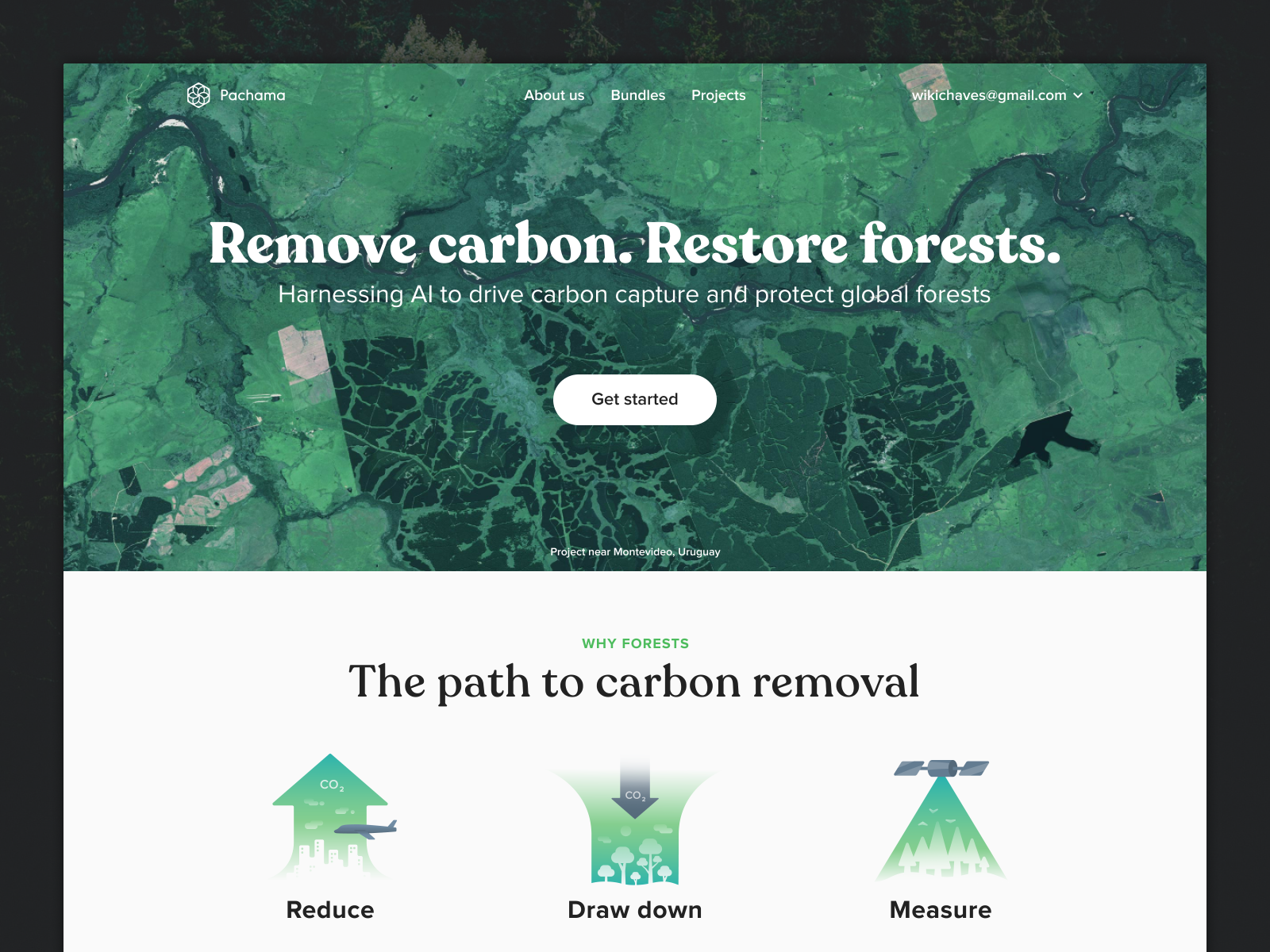 Pachama by Wiki Chaves on Dribbble