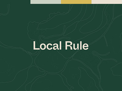 Klingit - Illustration Project for Local Rule by Klingit on Dribbble