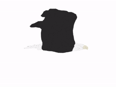 Bird rotoscope by Stan Smeets on Dribbble