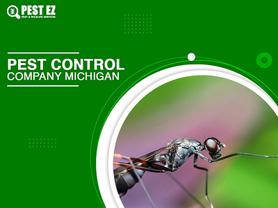Pest EZ Pest & Wildlife Services | Dribbble