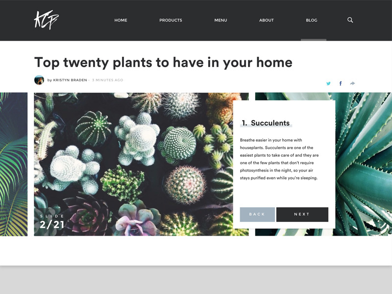 Slideshow Concept by Kristyn Braden on Dribbble