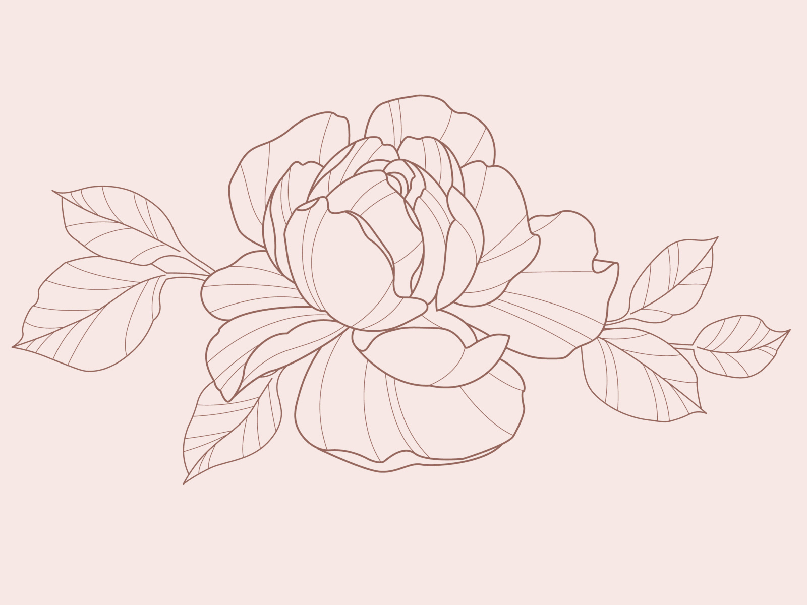 full bloom flower by Роlina Lypko on Dribbble