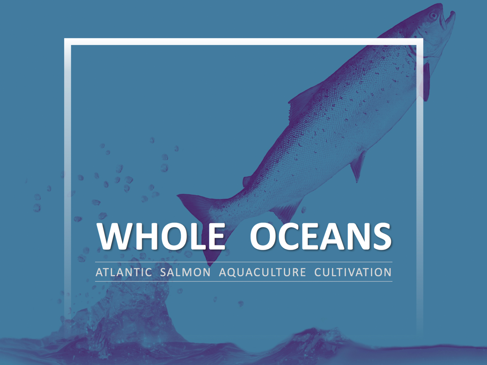 Whole Oceans by Allen Breiter on Dribbble