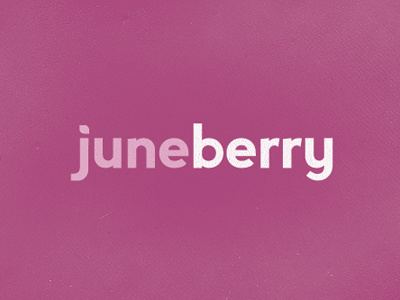 juneberry logo by Autumn Hutchins on Dribbble