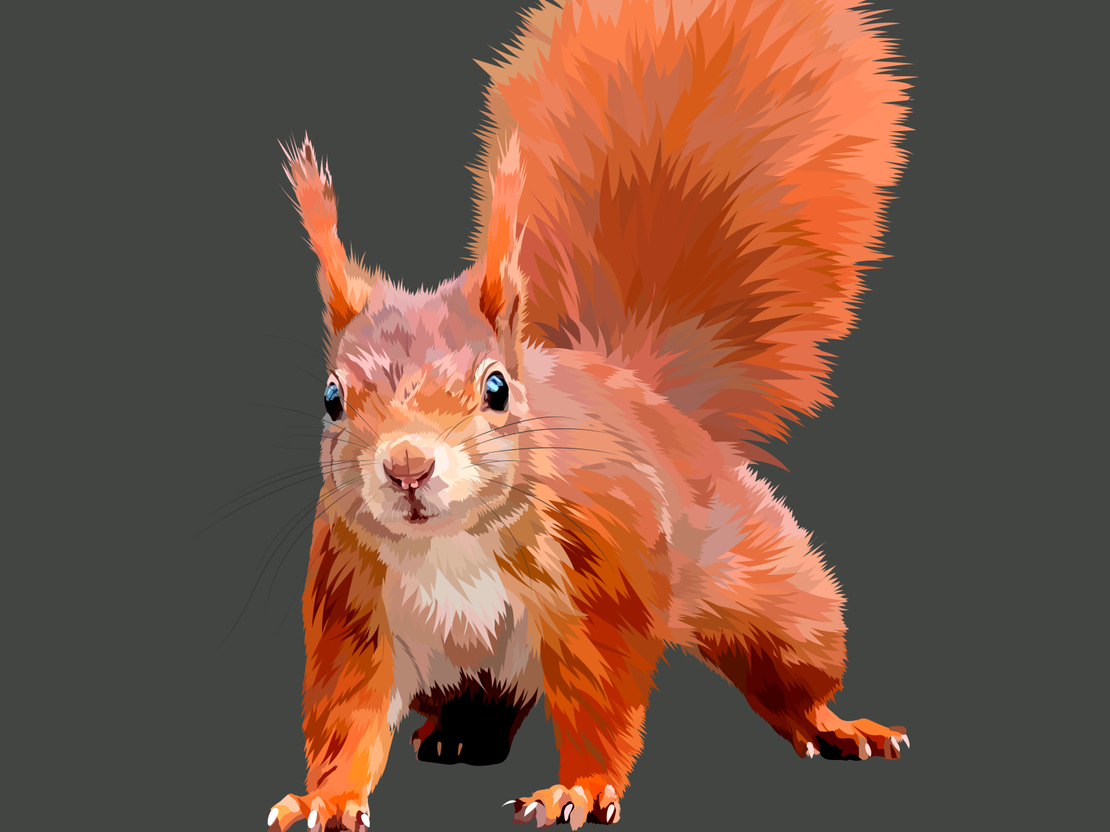 Squirrel illustration by Anzhelika on Dribbble