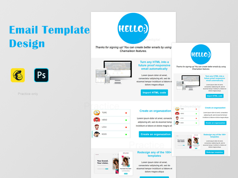 Email Template Design by BirdEye digital on Dribbble
