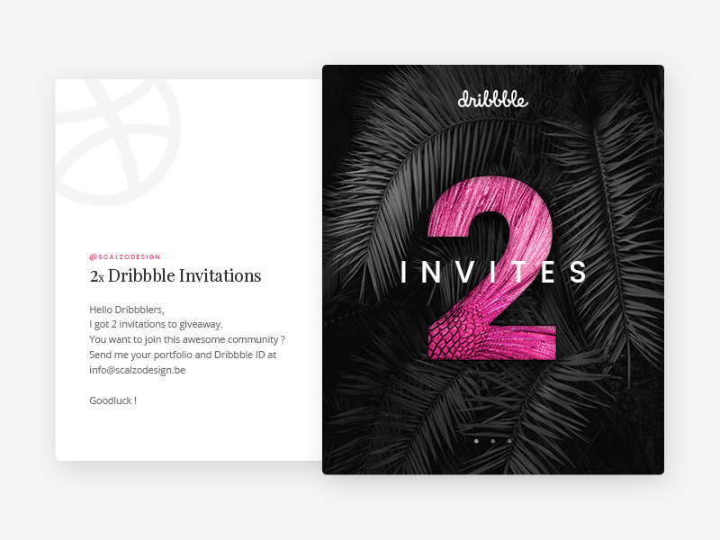 2x Dribbble Invites by Samuel Scalzo on Dribbble