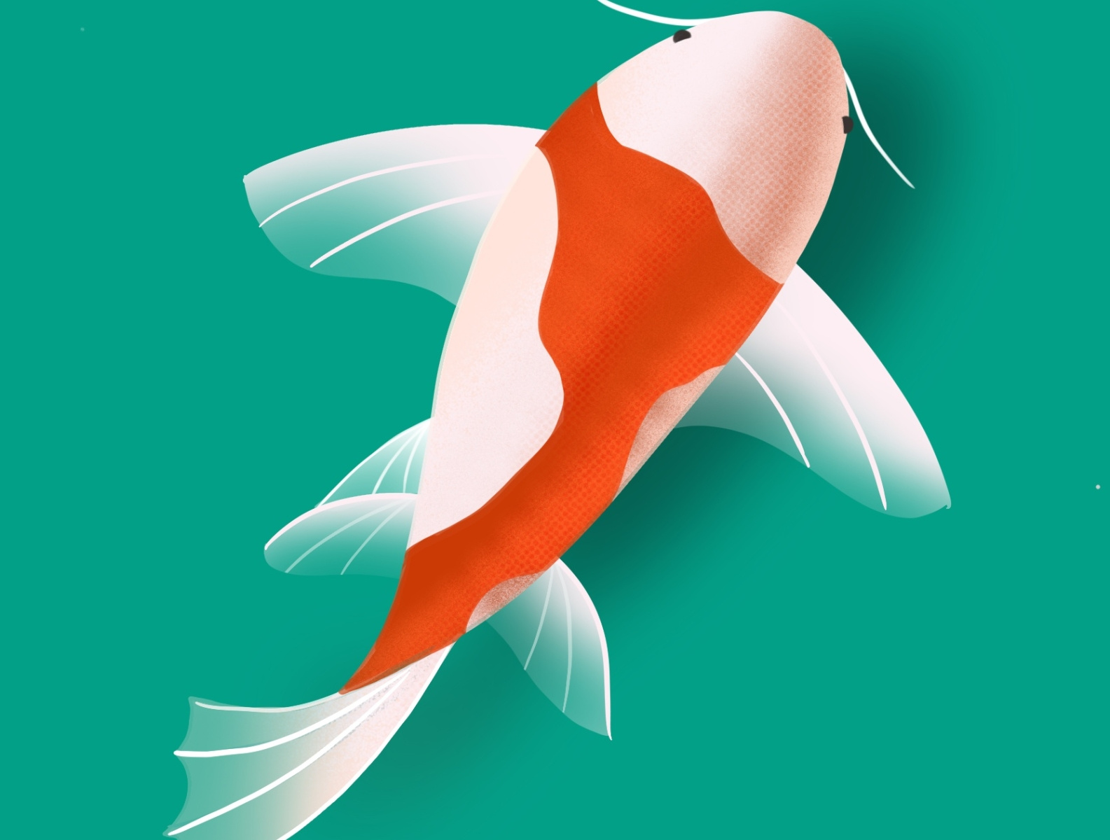 Fish Illustration on Pro Create by Tirumala Chamalla on Dribbble