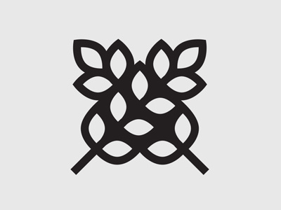 Hopa Studio | Dribbble