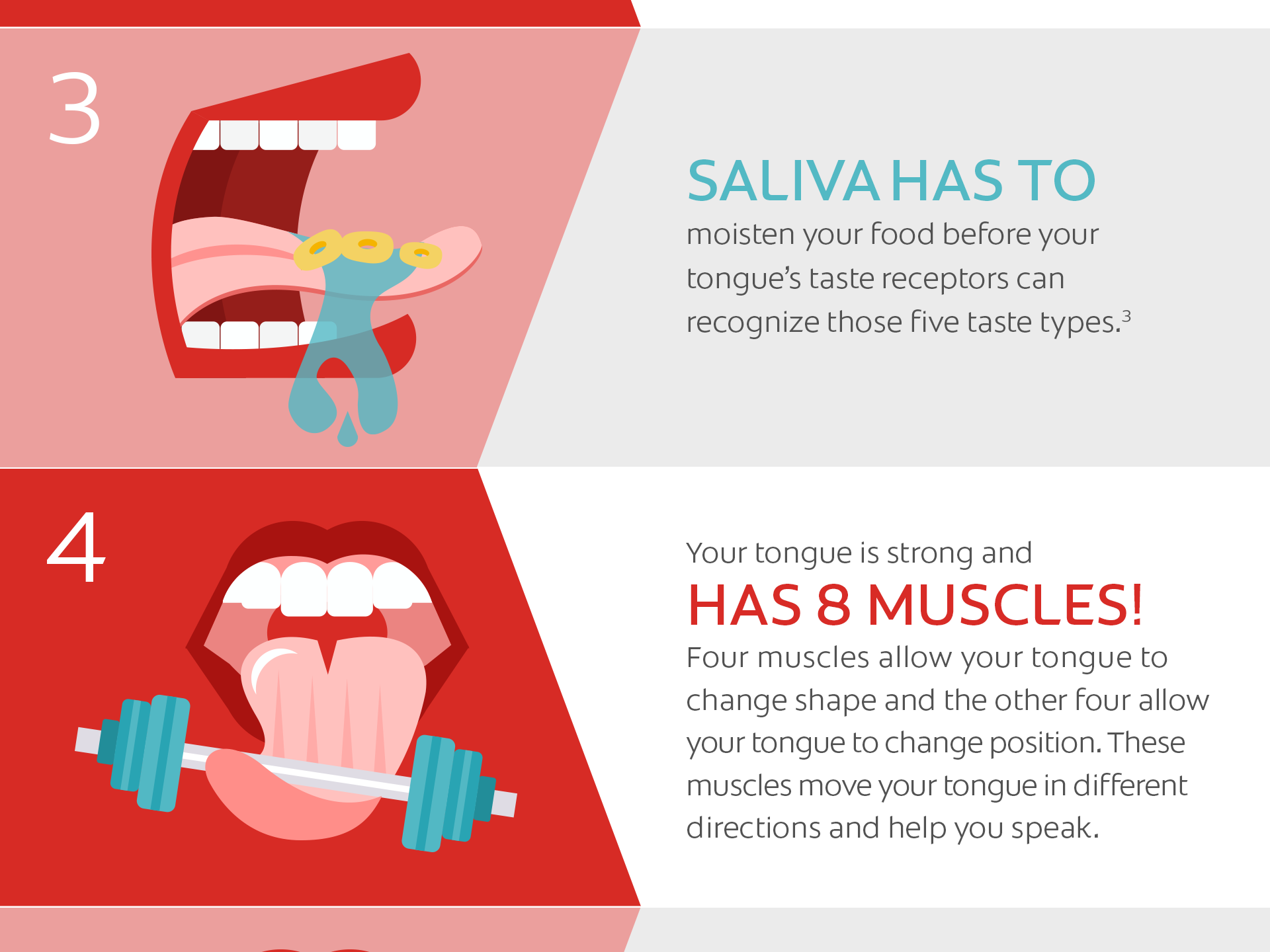 Part of an infographic for Colgate by Julie on Dribbble