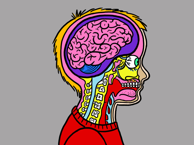 Cross Section by Lauren Kolesinskas on Dribbble