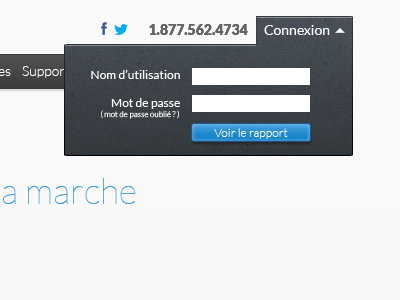 Cubsystem Login by Maxime Giguère on Dribbble