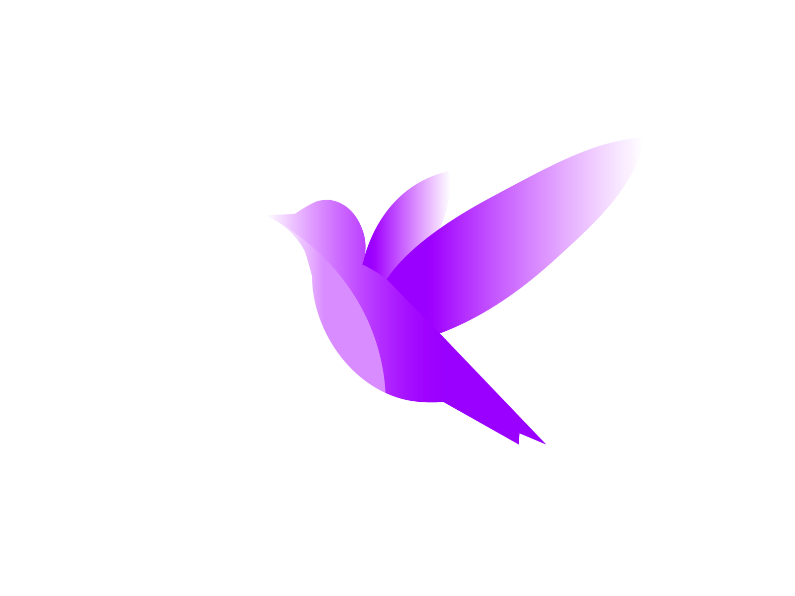 Premium quality bird logo by Mir Niloy on Dribbble