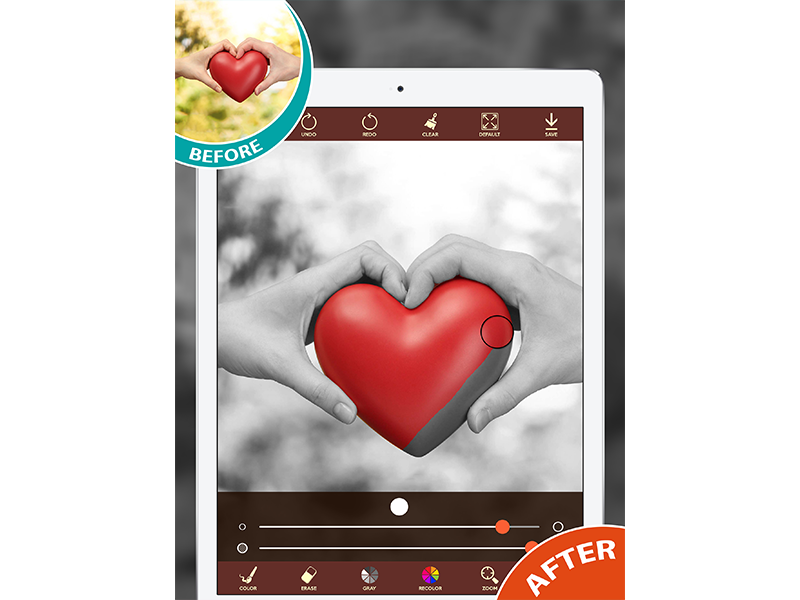 Color Splash Lab by Arif Ahmed on Dribbble