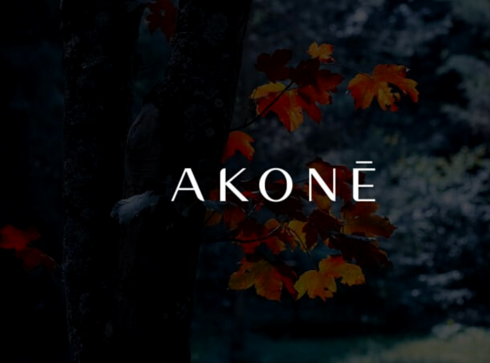 Minimalist Logo-AKONE by MNA Pixel on Dribbble