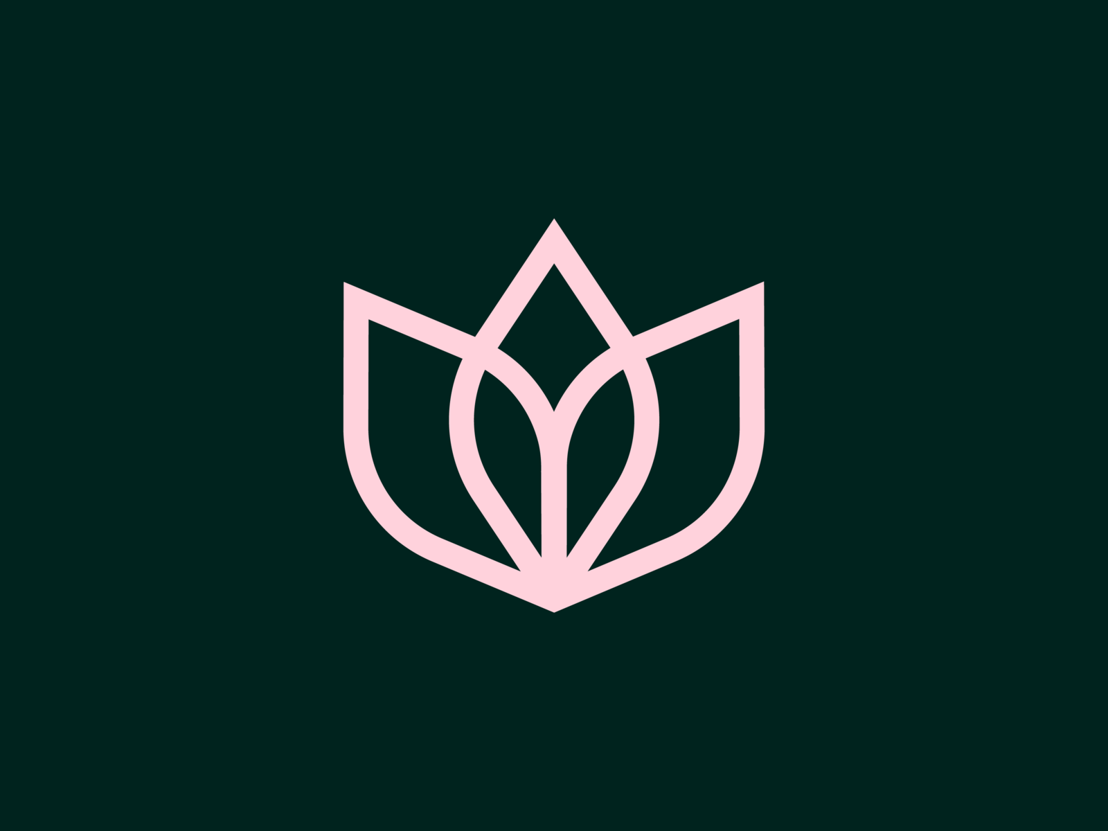 Bloom | 03 by Cameron Maher on Dribbble