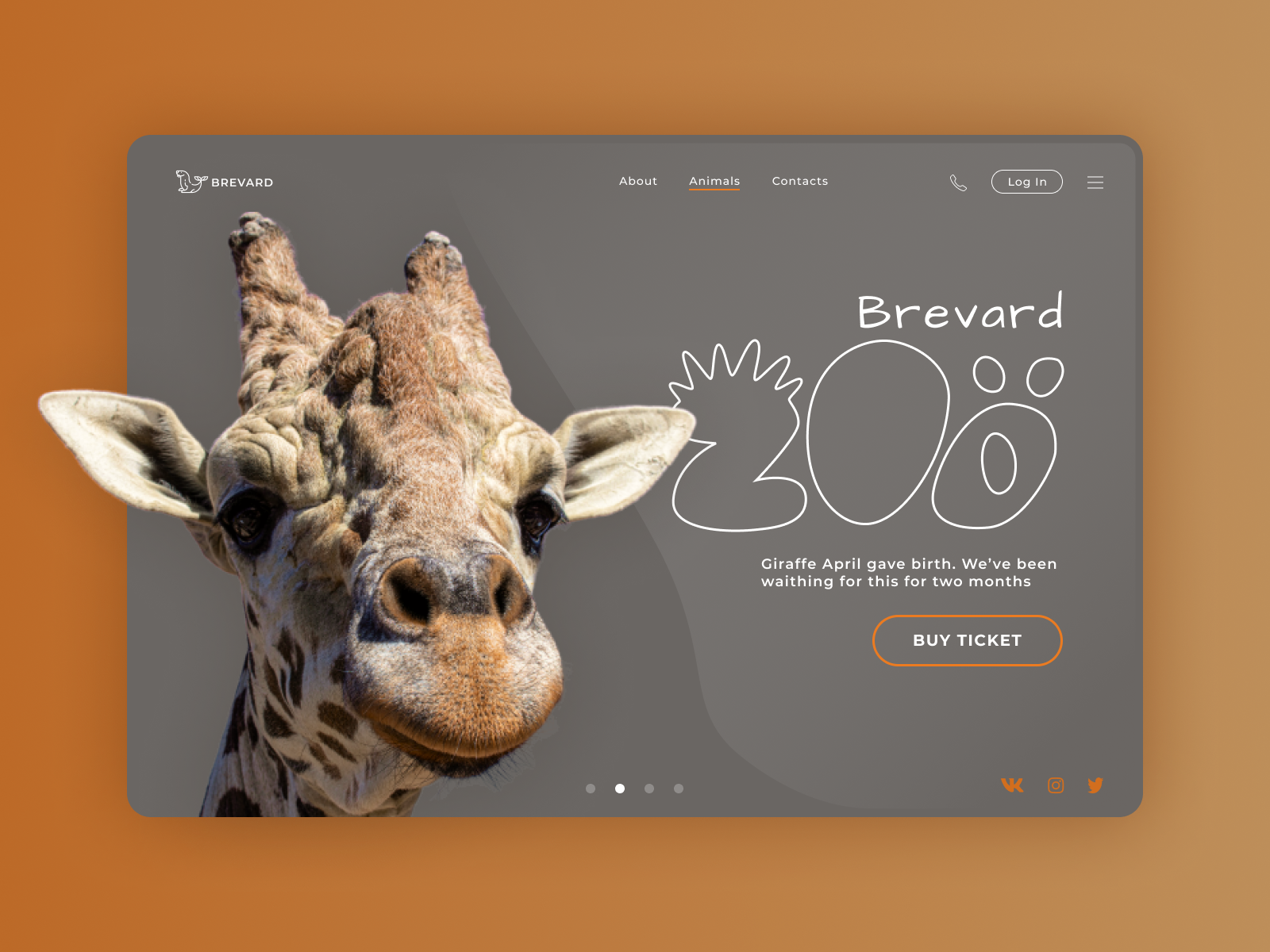 Zoo banner concept by Zukhra Loskutova on Dribbble