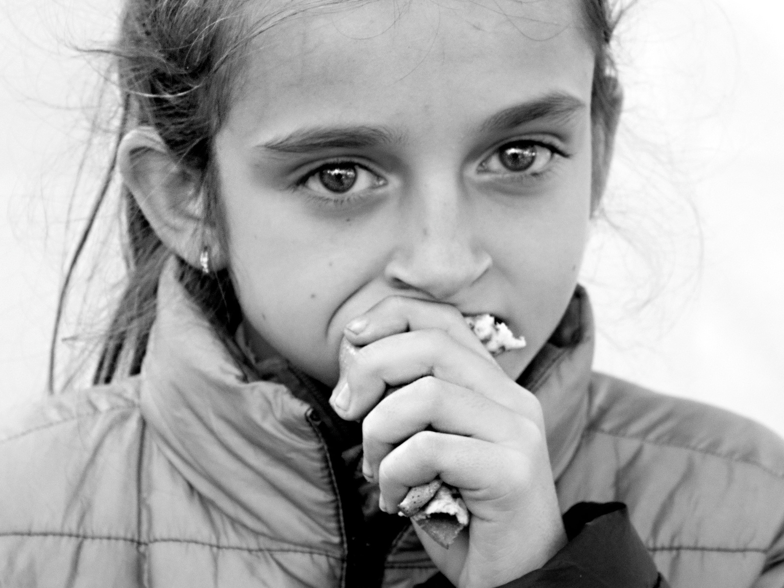 Gray by Stephany on Dribbble