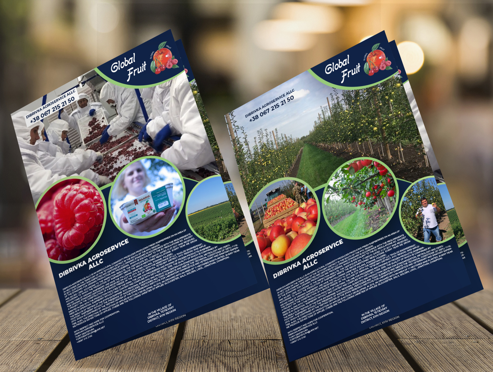 Advertising catalog by Maksym on Dribbble