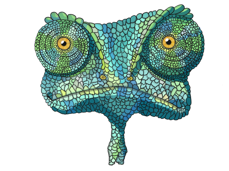 Rango by Anna Up on Dribbble