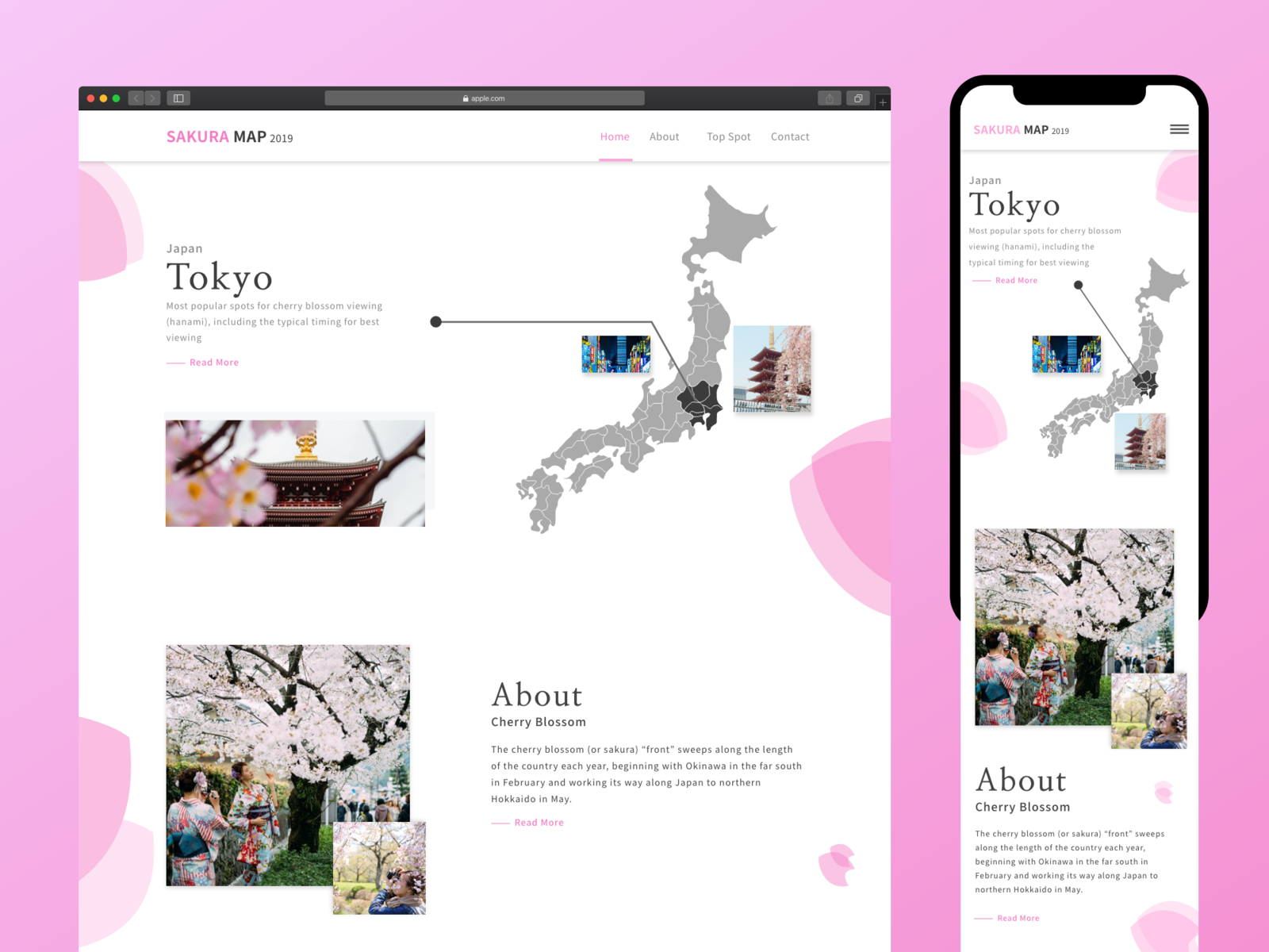 Sakura Map 2019 by Trivikram Rao on Dribbble