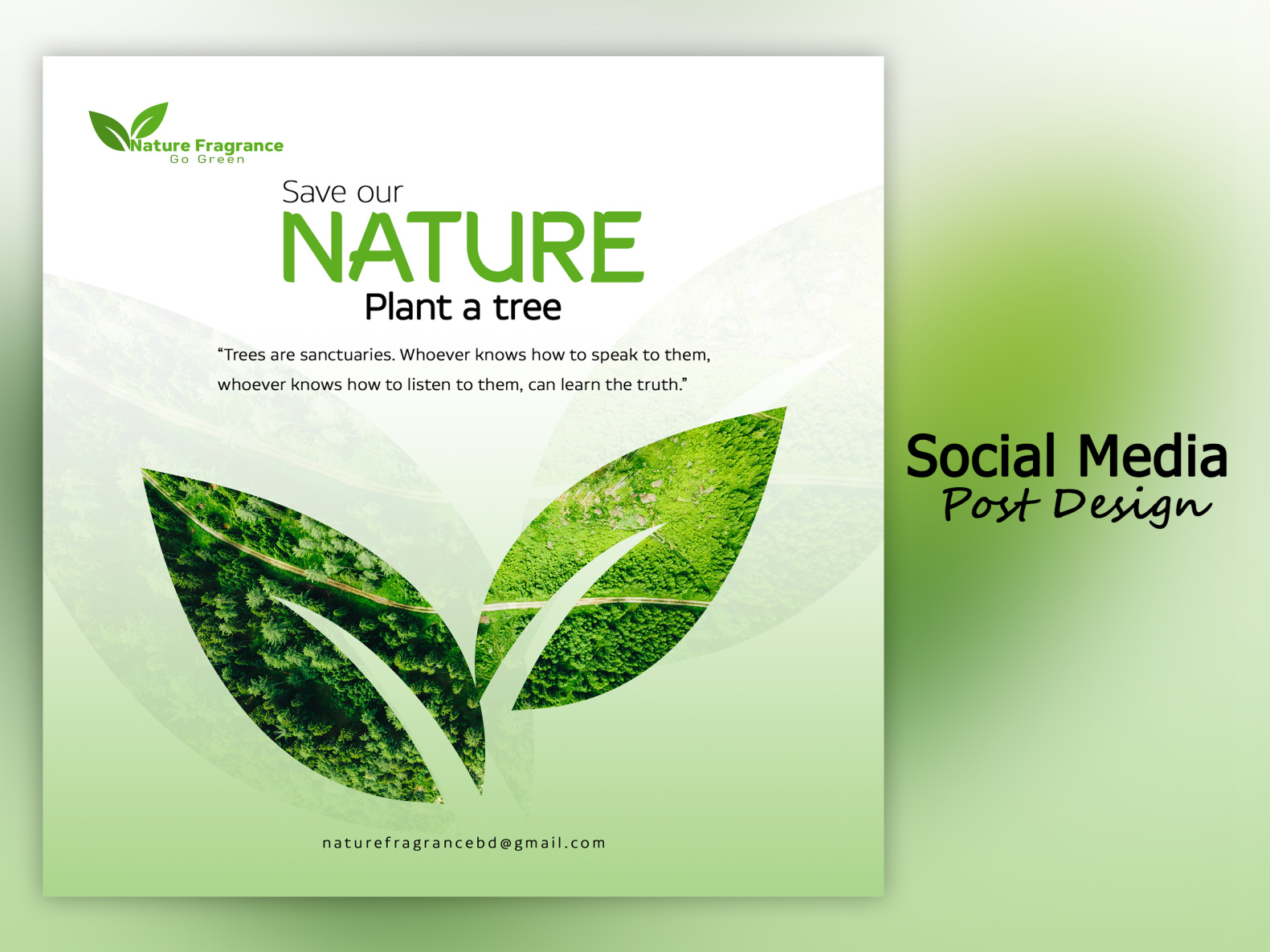 Nature Social Media Post Design by Jahir Rayhan on Dribbble