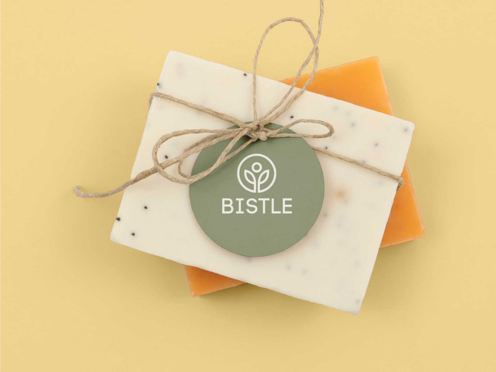 Bistle logo Design by Designetri on Dribbble