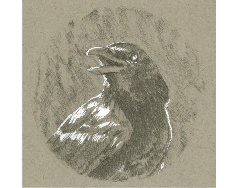 Smiley Crow by Nadia Gordeuk on Dribbble