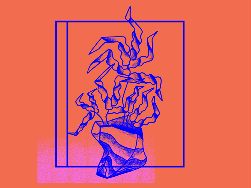 Plant Study 002 by Cody Browning on Dribbble