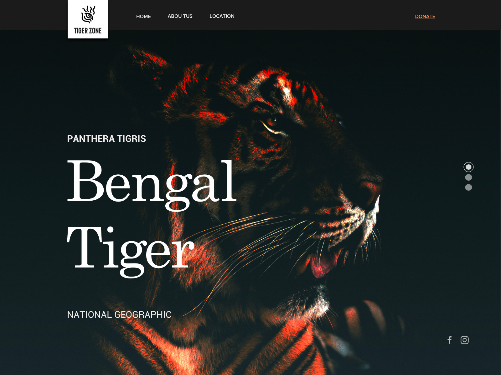 Bengal Tiger by Sravan Aitla on Dribbble