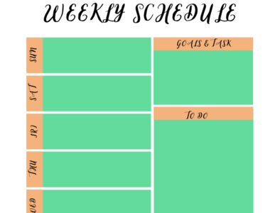 Teal and orange weekly schedule by shane rowe on Dribbble