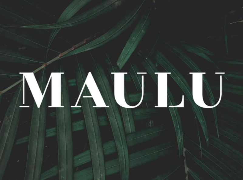 Font logo by Nargiza Altynguzhina on Dribbble