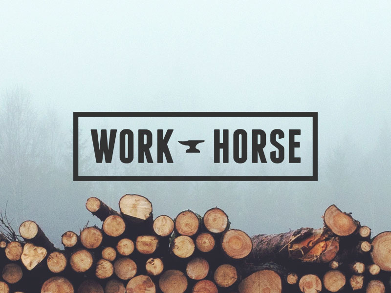 Workhorse by Sean Geraghty on Dribbble