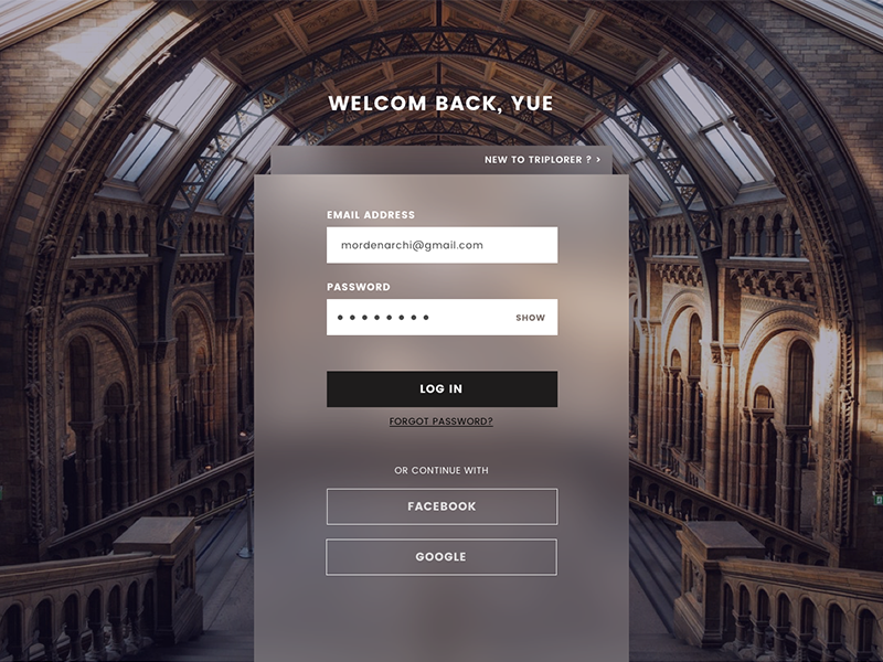 Sign In page-D1 by Yue Joyee on Dribbble