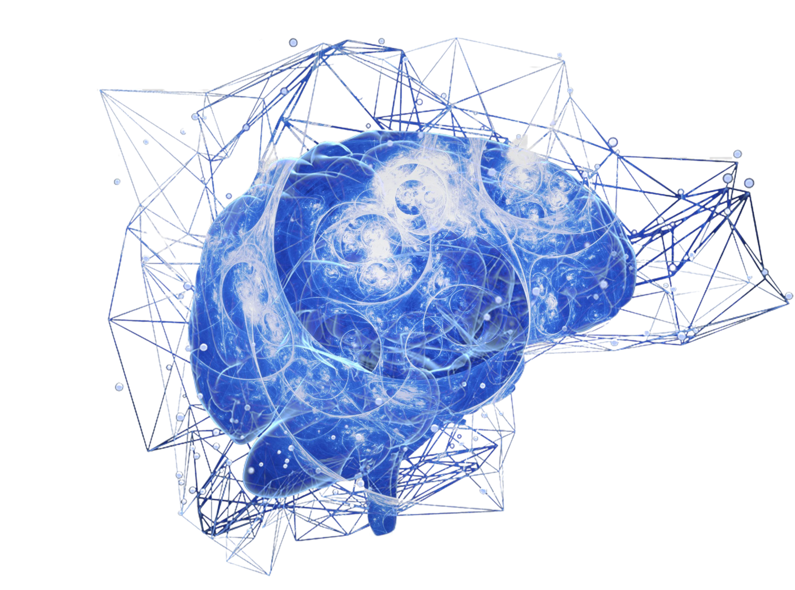 AMYGDALA by Lori on Dribbble