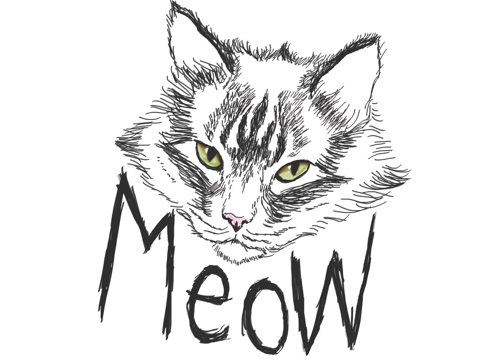 Meow by tania marilin on Dribbble