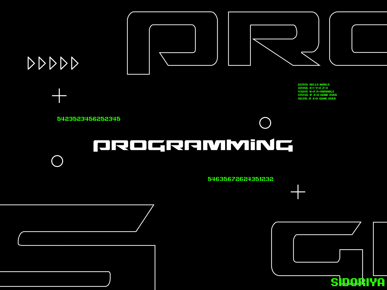 Programming By Said On Dribbble