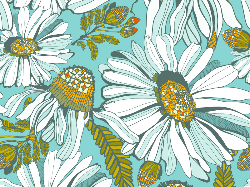 Camomile Seamless Pattern by Marusha Belle on Dribbble