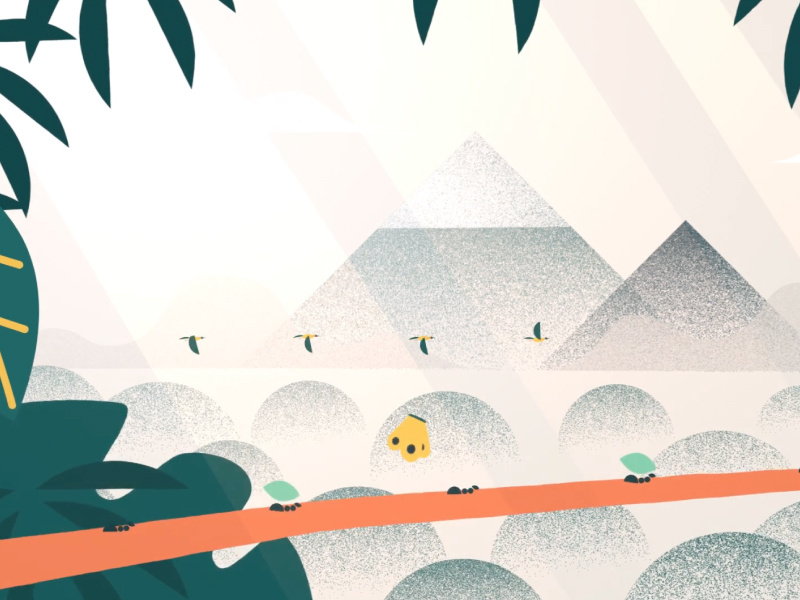 WWF - High Conservation Values by Nice and Serious on Dribbble
