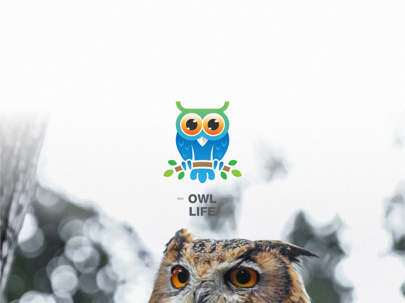 Owl Logo by nioma on Dribbble
