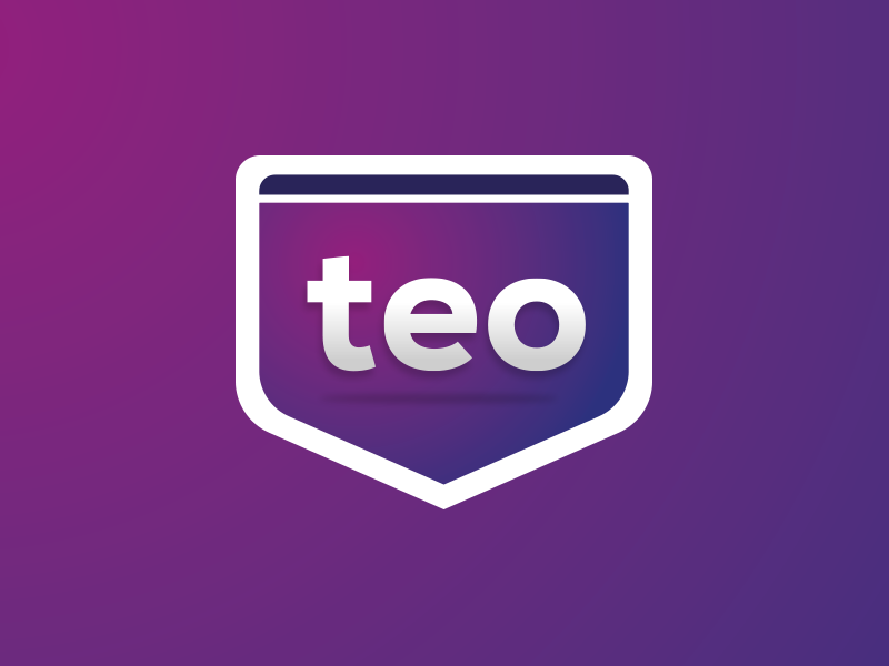 Logo branding TEO by Mehdi Ayache Berberos on Dribbble